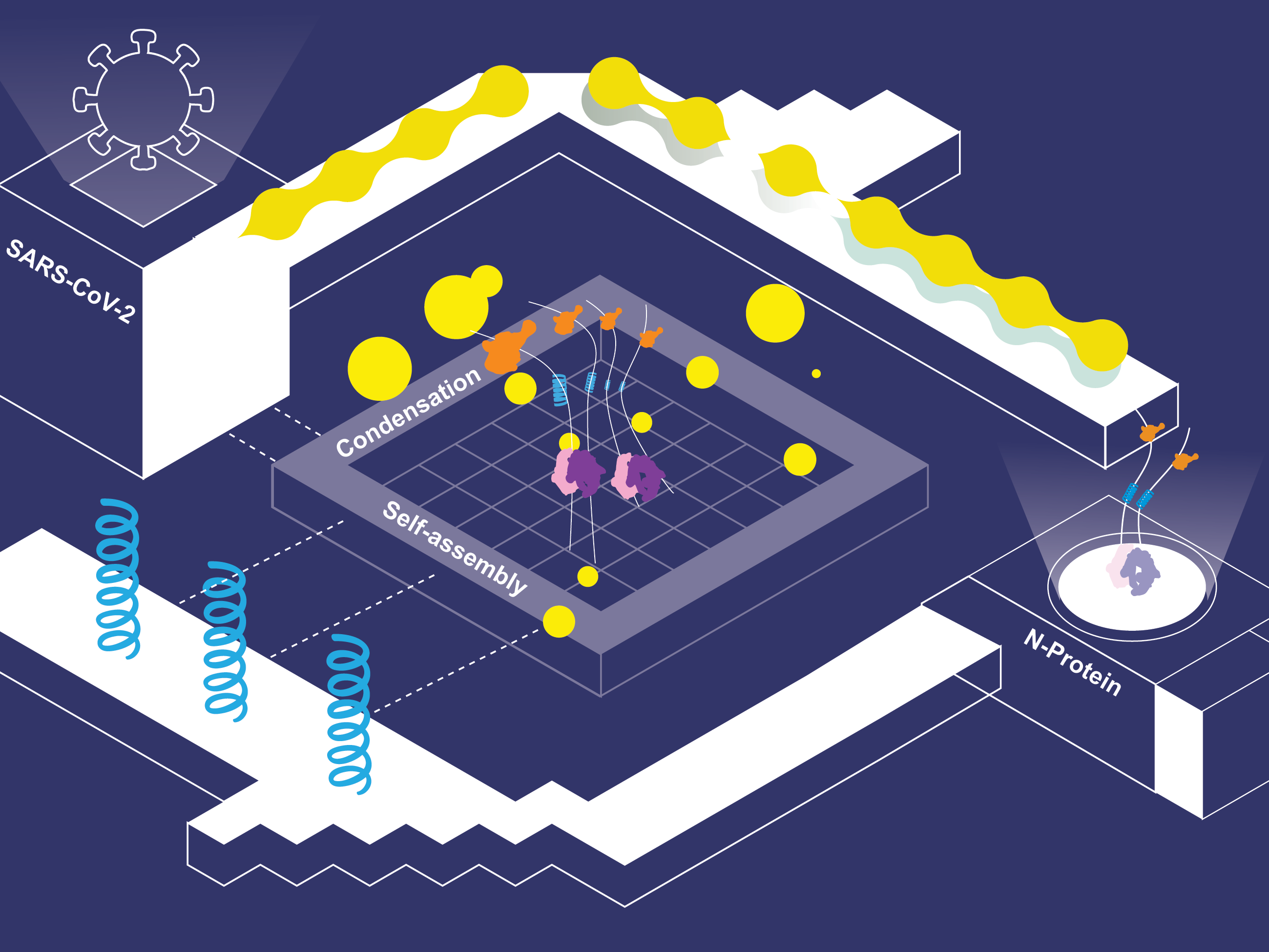 Cordeiro Lab Webpage